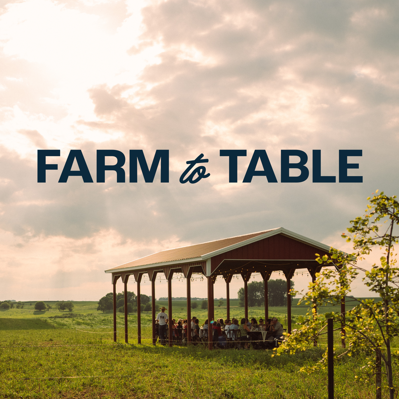 Grand View Beef: Local 100% Grass Fed Beef | Iowa