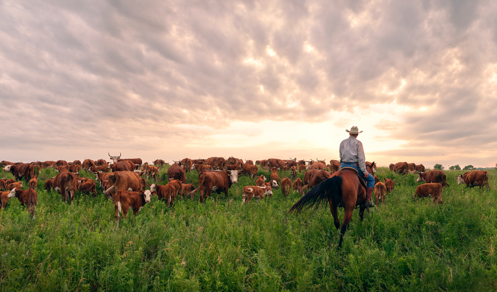Our Family | Grand View Beef