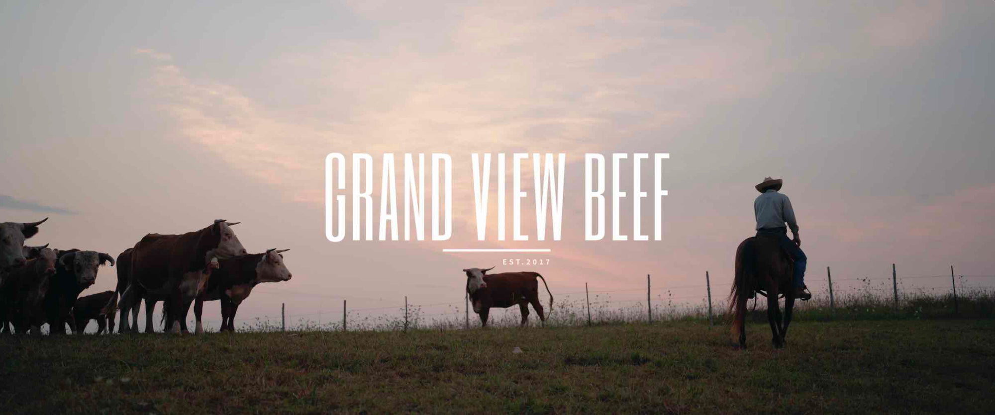 Grand View Beef: Local 100% Grass Fed Beef | Iowa