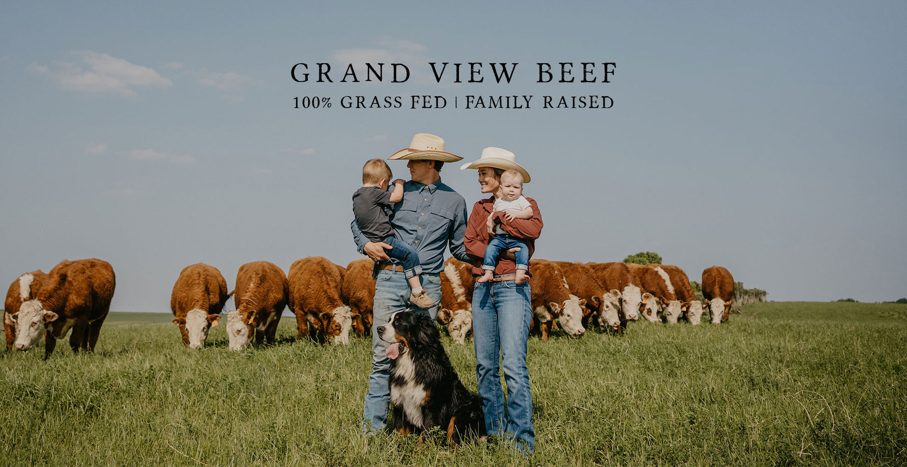 Grand View Beef: Local 100% Grass Fed Beef | Iowa
